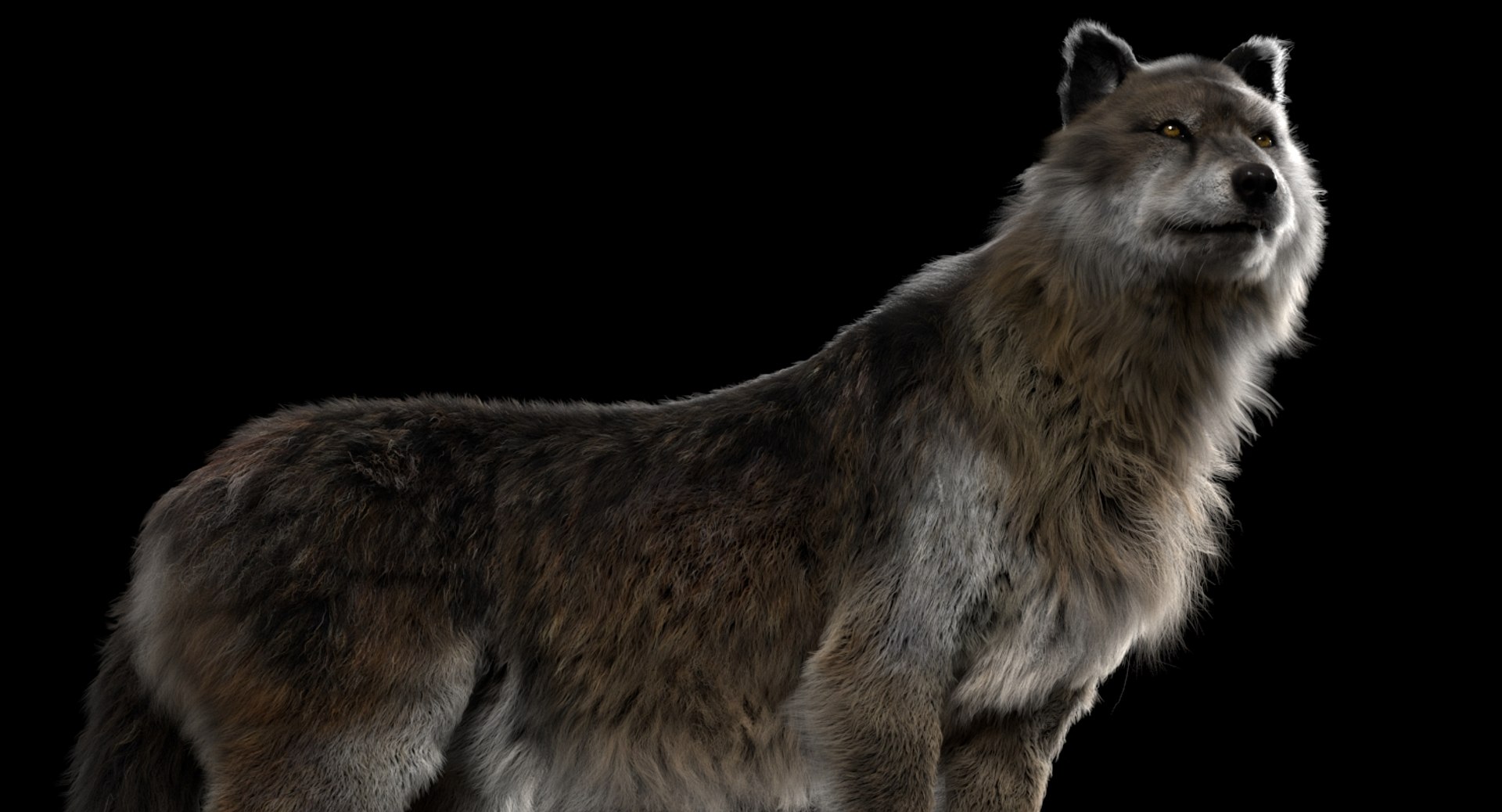 Fur 3D Model - TurboSquid 1328690