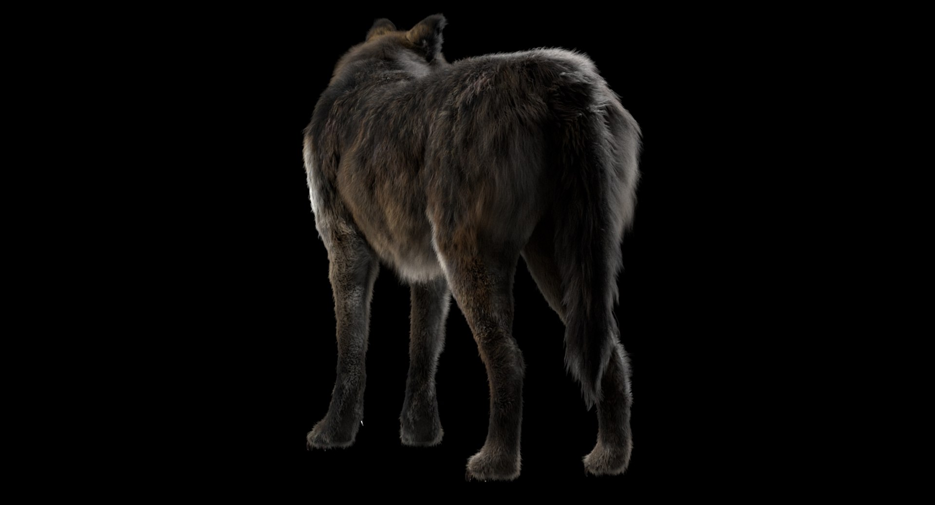 Fur 3D model - TurboSquid 1328690