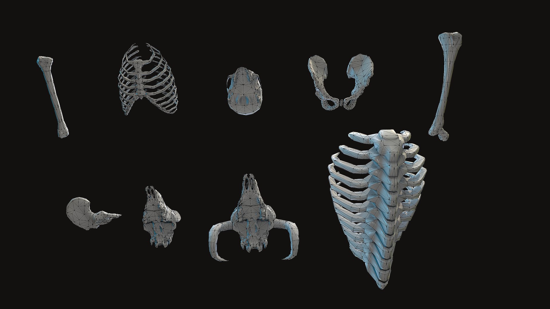 3D Stylized Bones Model - TurboSquid 2135007