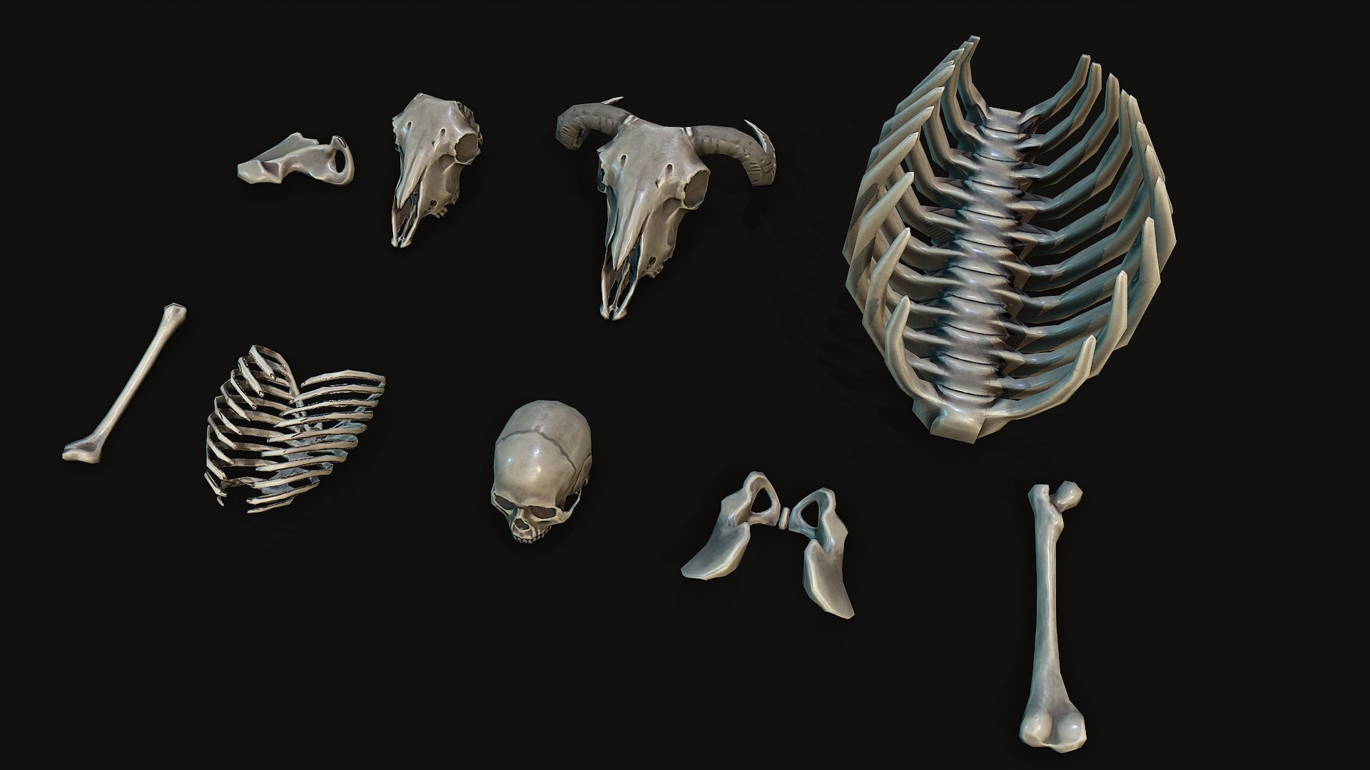 3D Stylized Bones Model - TurboSquid 2135007