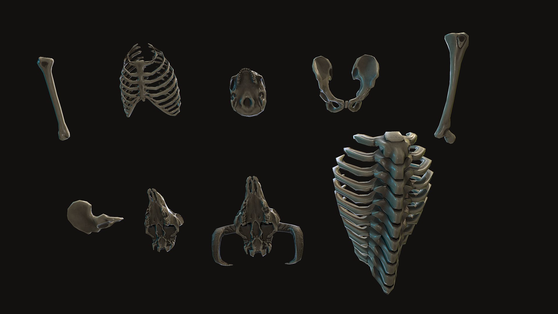 3D Stylized Bones Model - TurboSquid 2135007