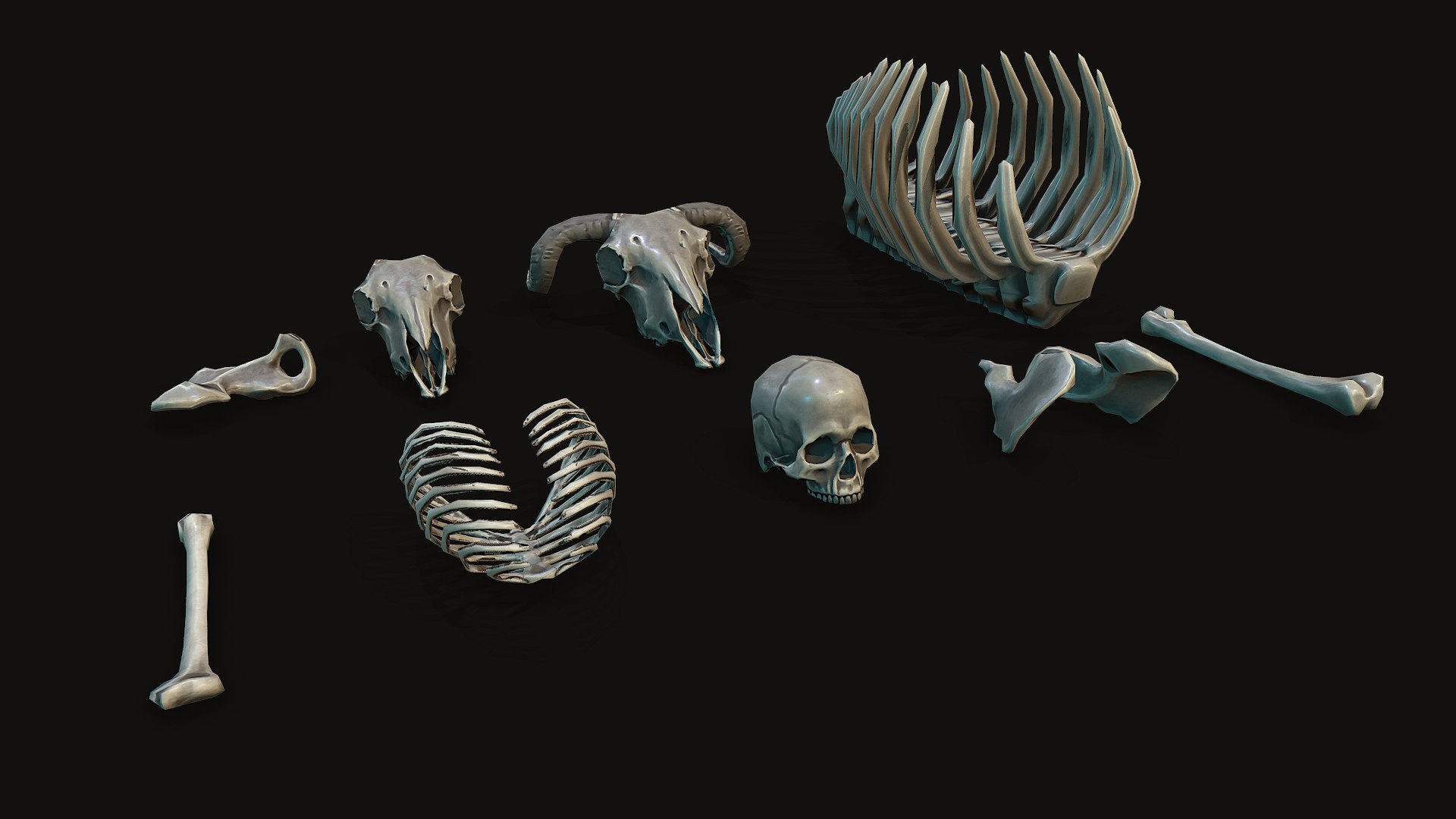 3D Stylized Bones Model - TurboSquid 2135007