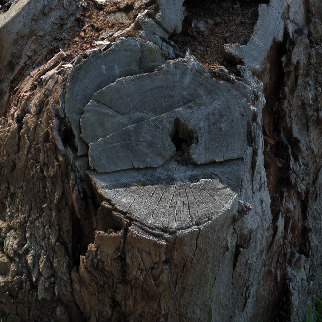 3d Max Scanned Dead Tree Stump