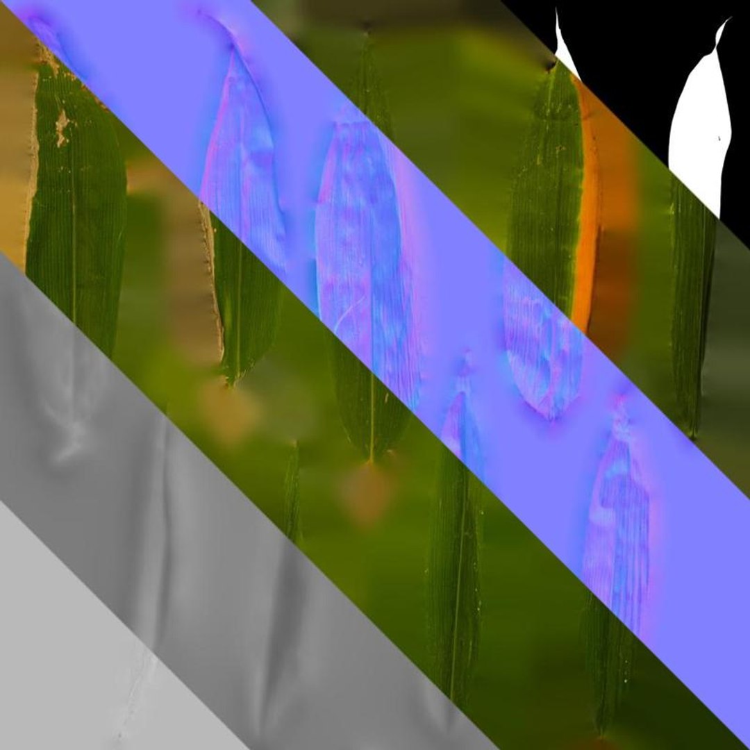 Anydrafts Indocalamus Tessellatus Leaf 03 Textures 3D Model ...