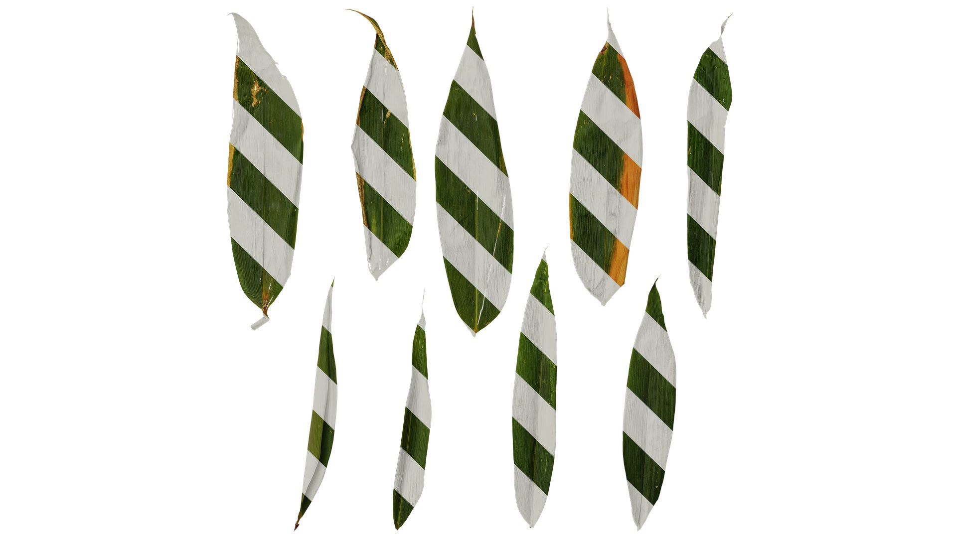 Anydrafts Indocalamus Tessellatus Leaf 03 Textures 3D Model ...