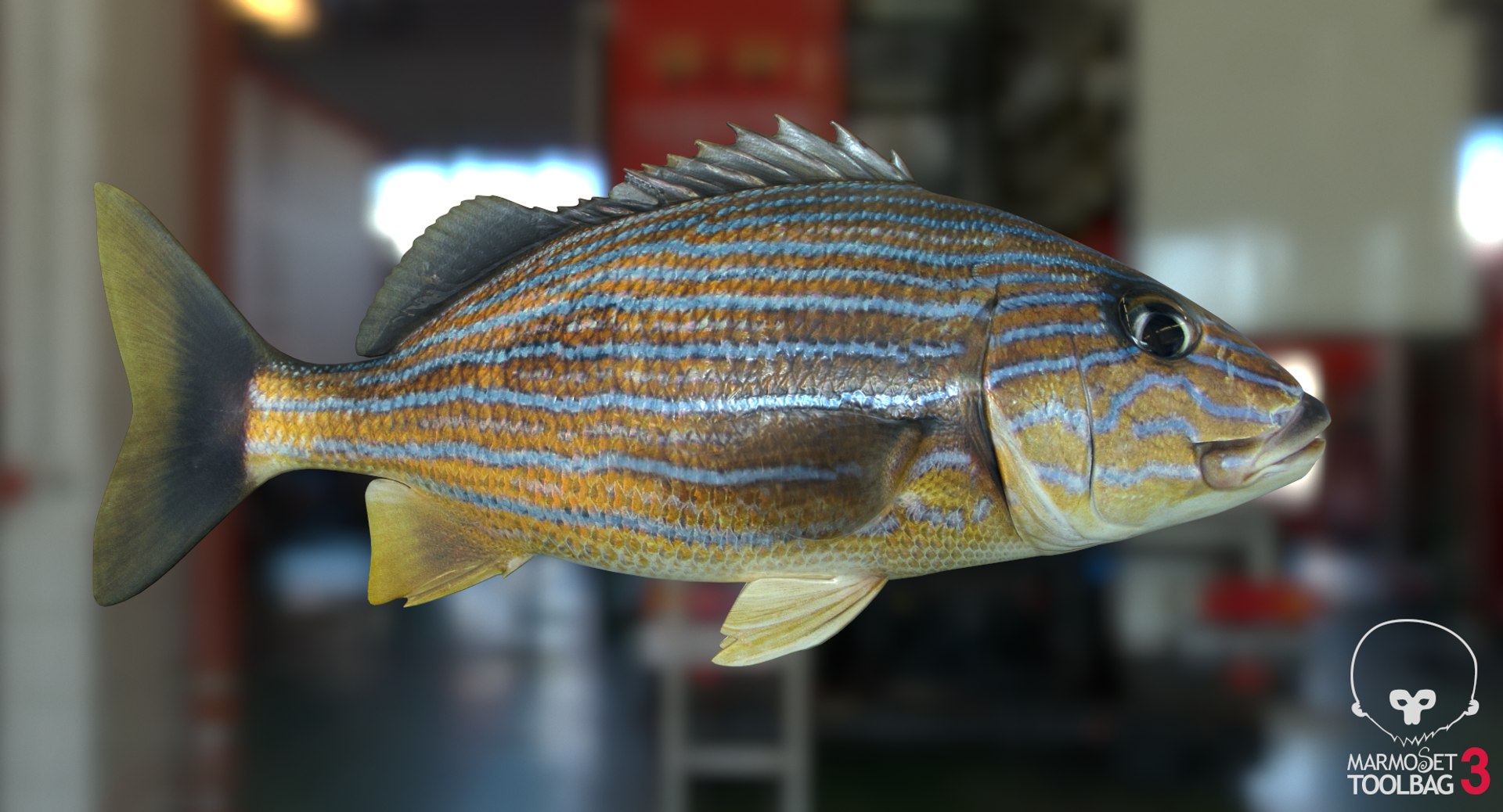 Blue striped grunt 3D model - TurboSquid 1380609