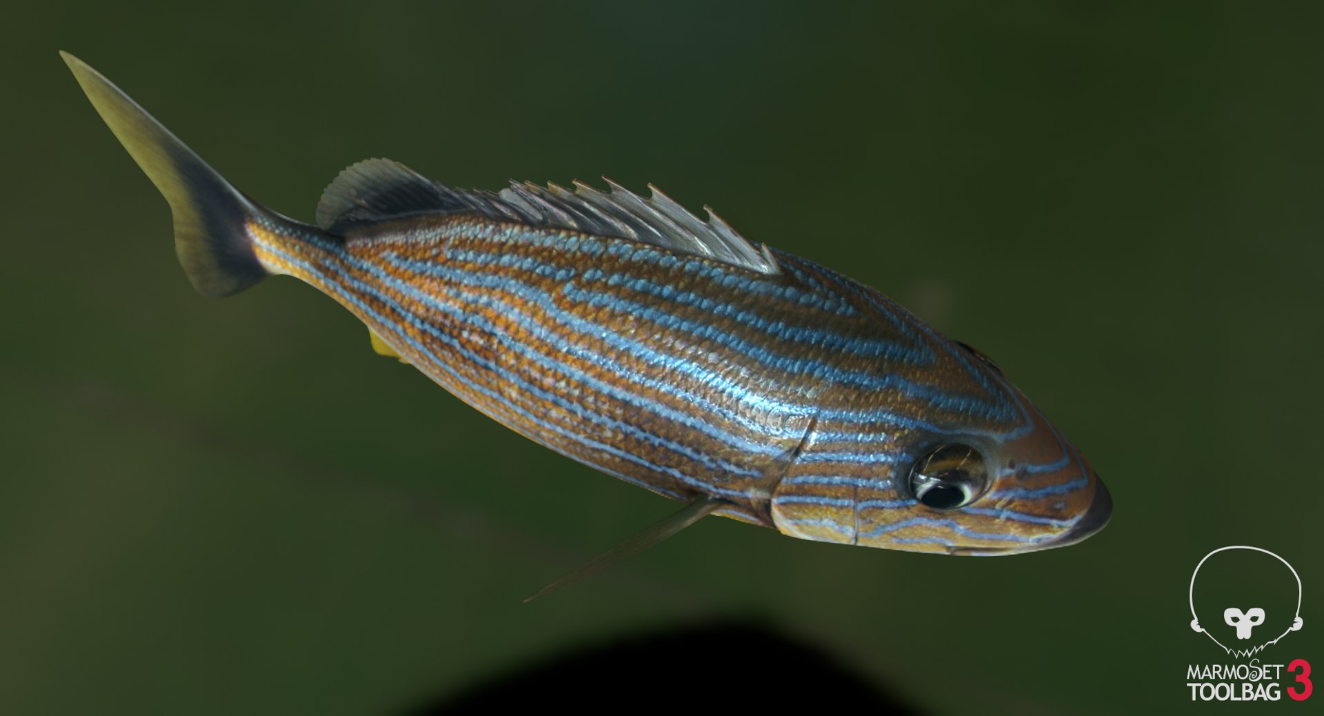 Blue Striped Grunt 3D Model - TurboSquid 1380609