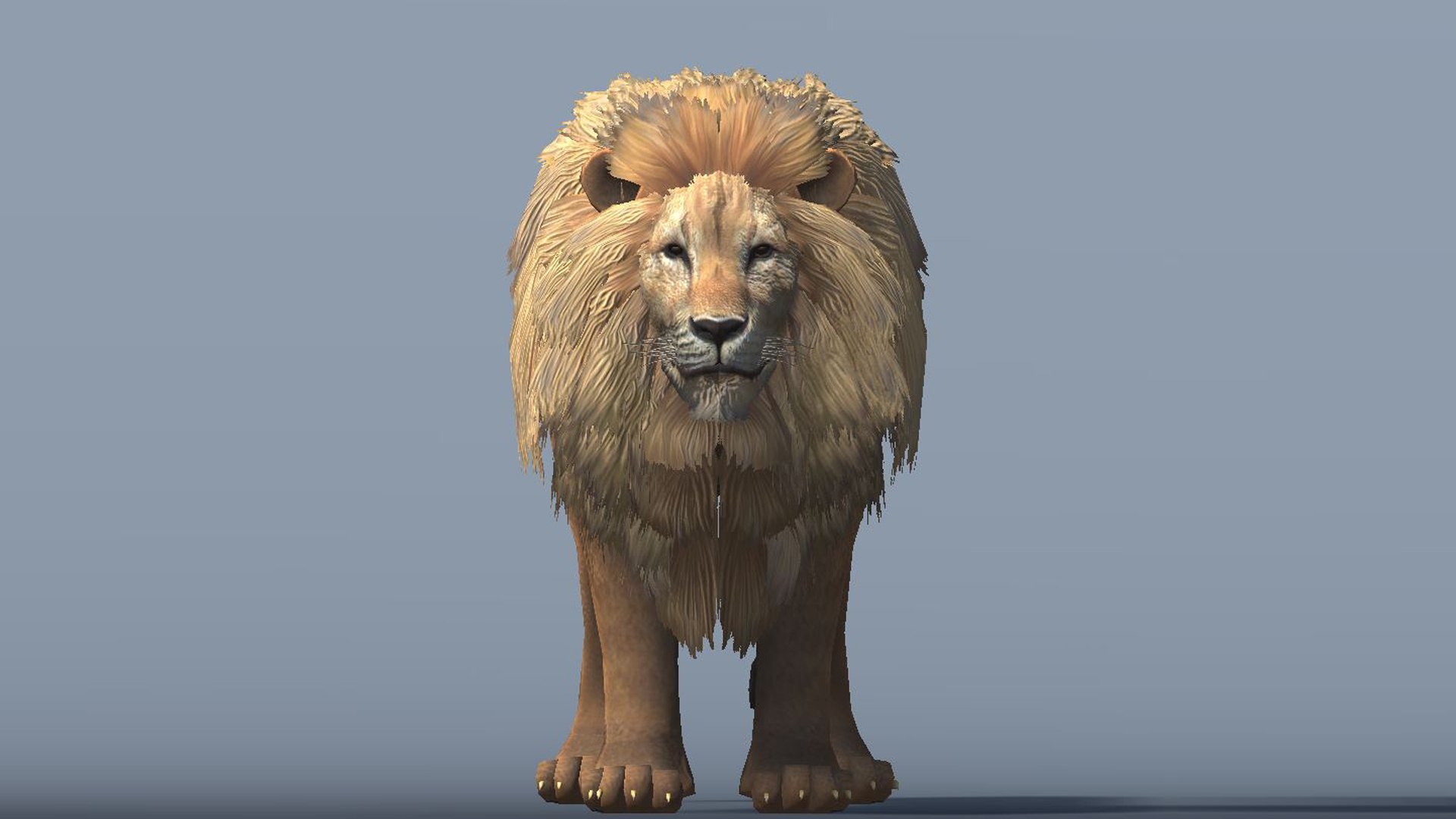 Lowpoly Male Lion Rigged And Animated For VR AR Games 3D Model ...
