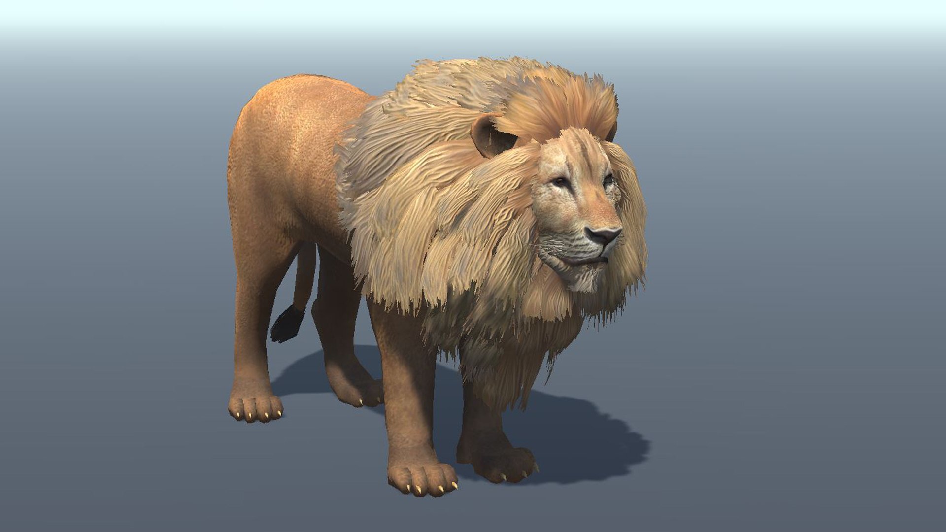 Lowpoly Male Lion Rigged And Animated For VR AR Games 3D Model ...
