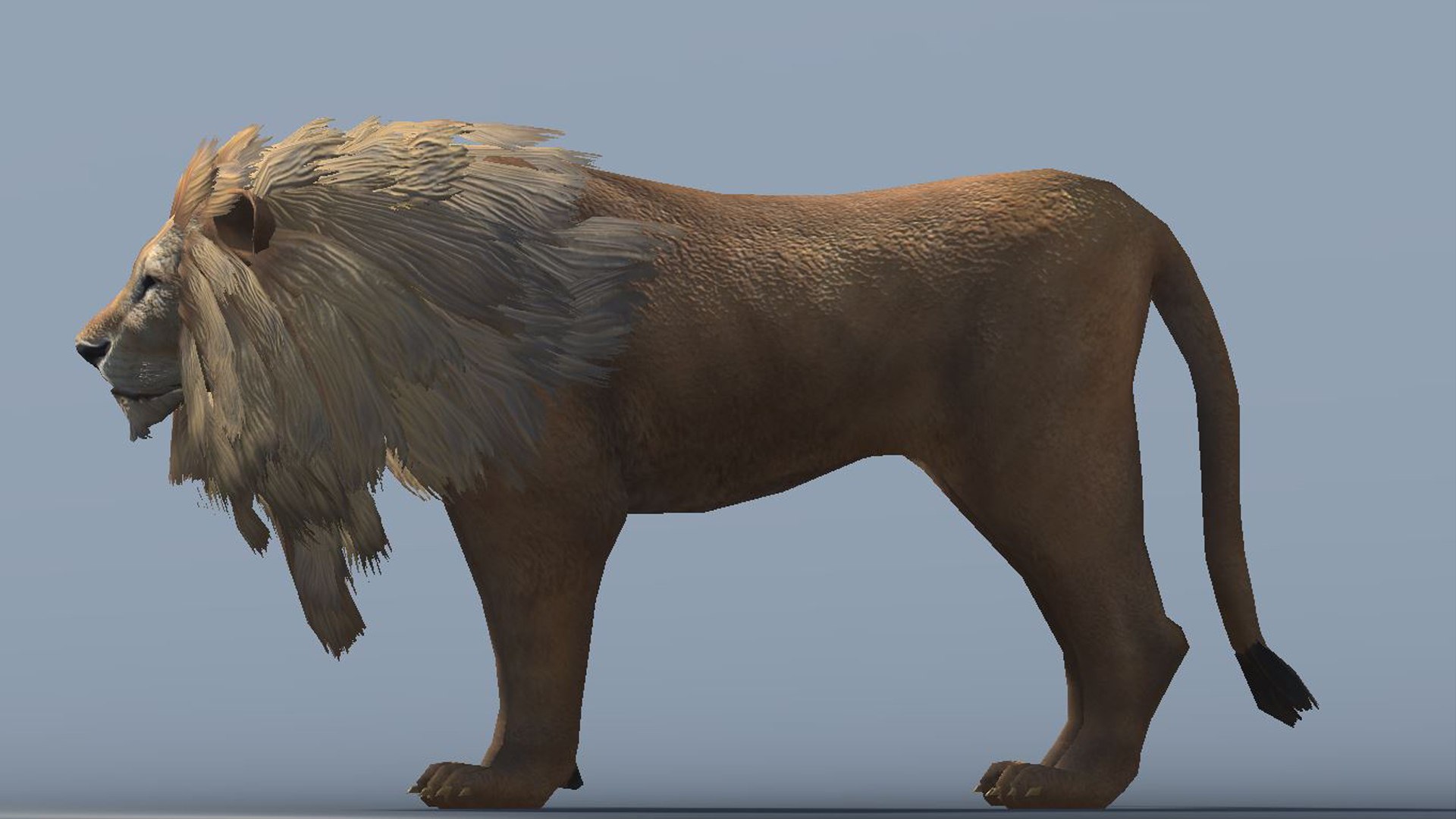 Lowpoly Male Lion Rigged And Animated For VR AR Games 3D Model ...