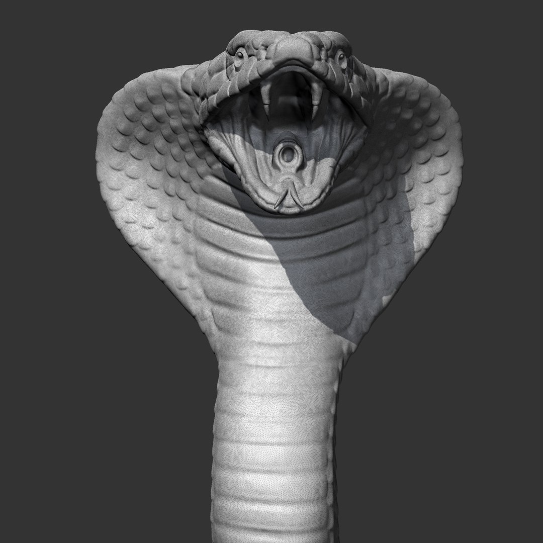 King Cobra Head AM09 Print 3D Model - TurboSquid 2065459