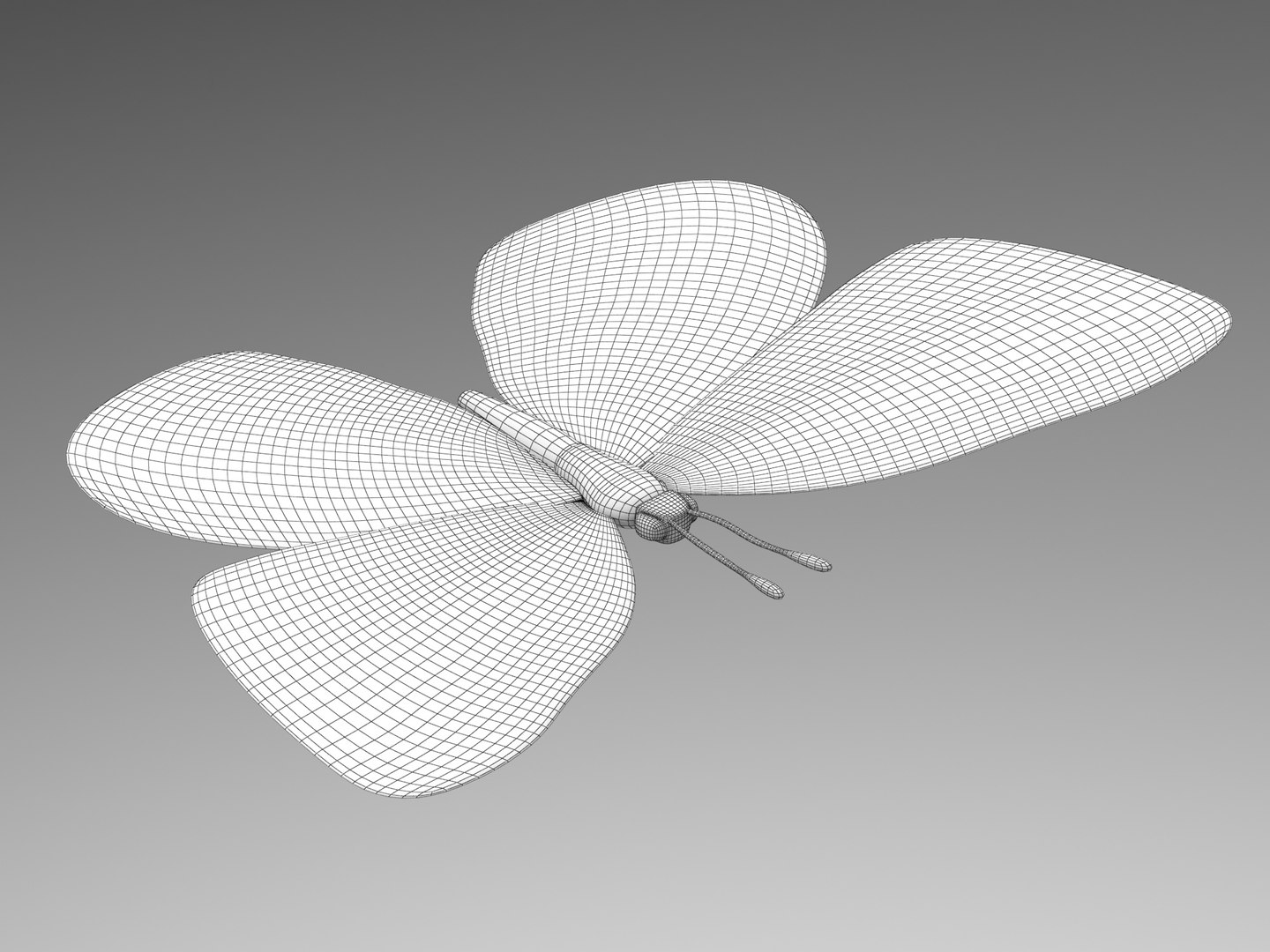 butterfly wings 3d model