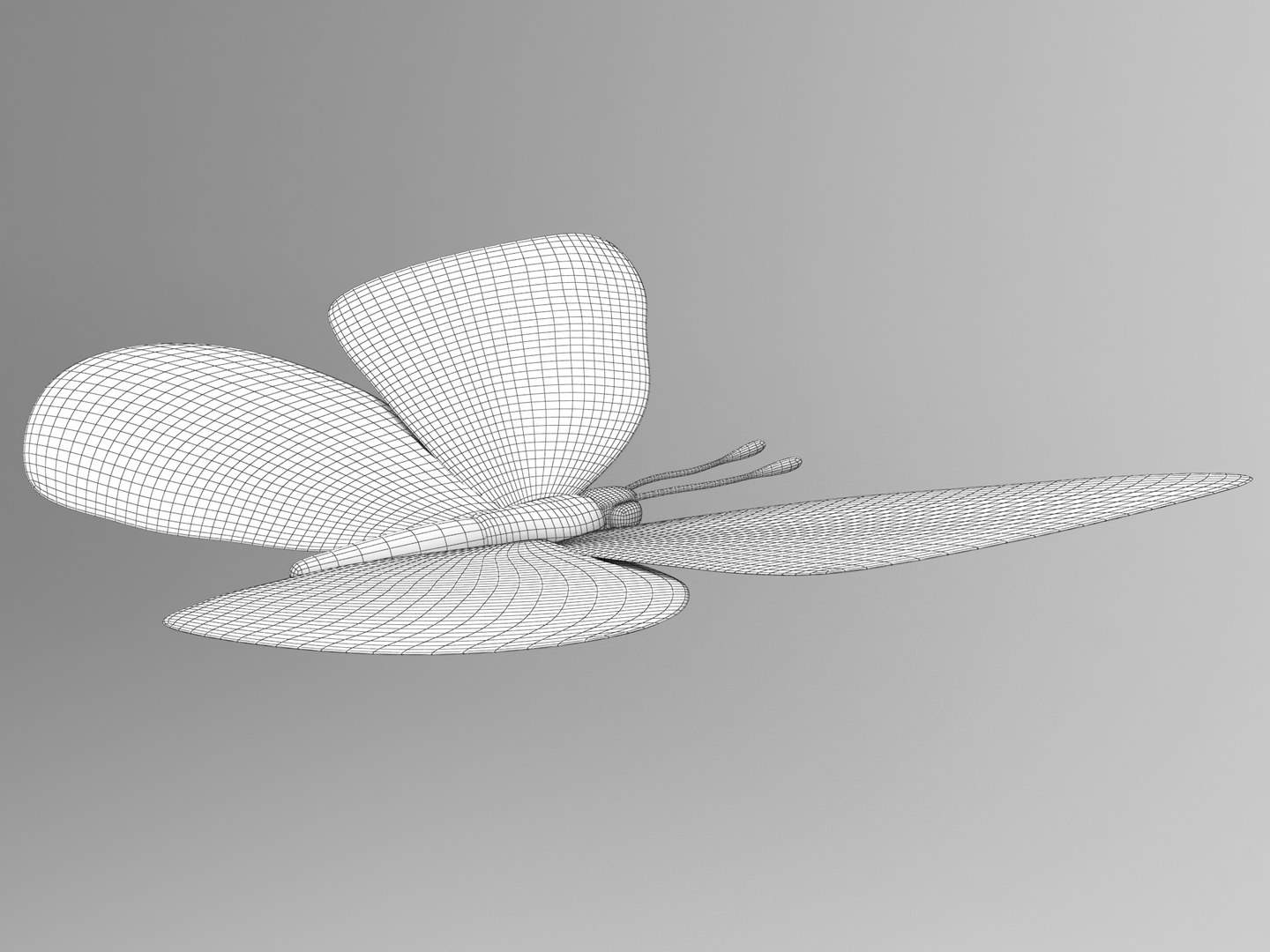 butterfly wings 3d model