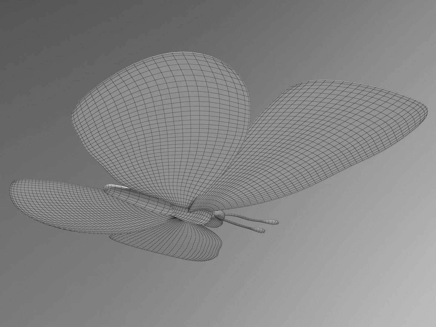 butterfly wings 3d model