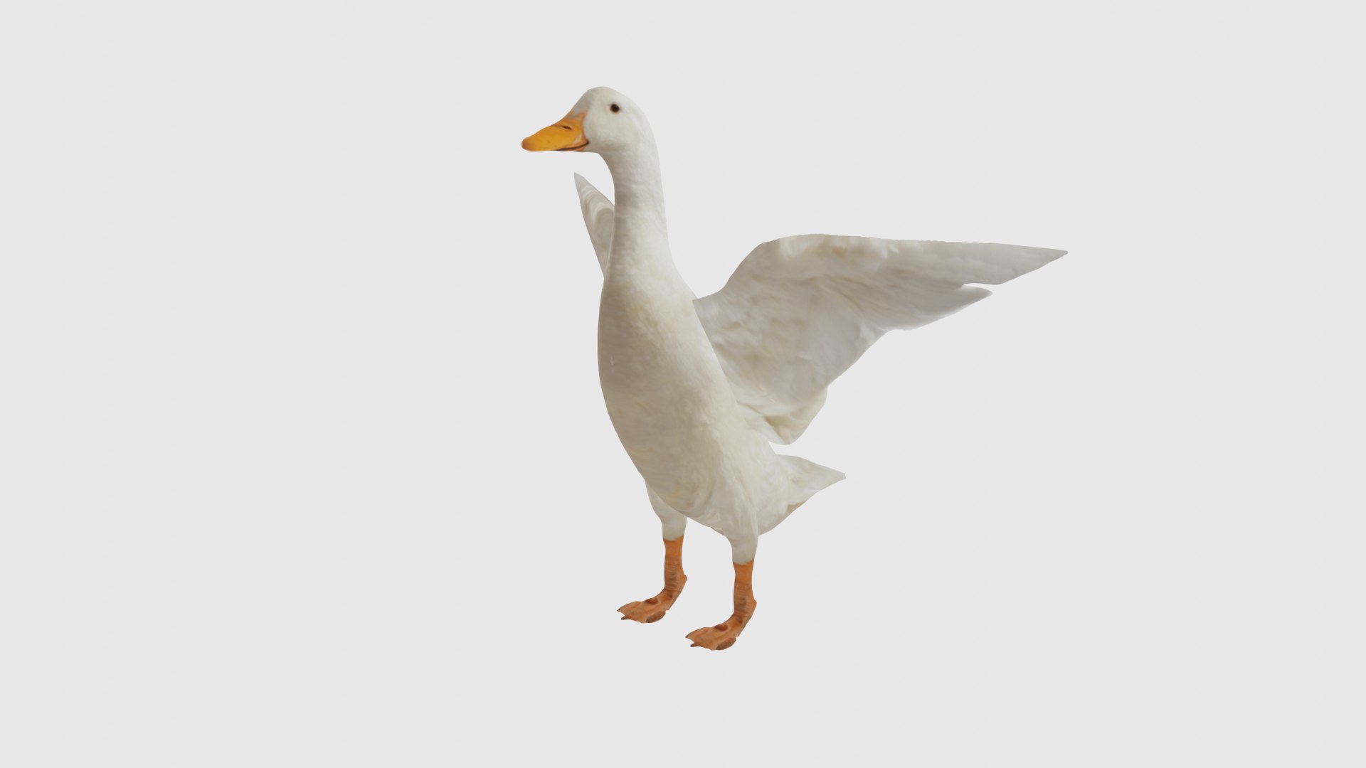 Low Poly Duck Rigged With Realistic Texture Model - TurboSquid 1875947