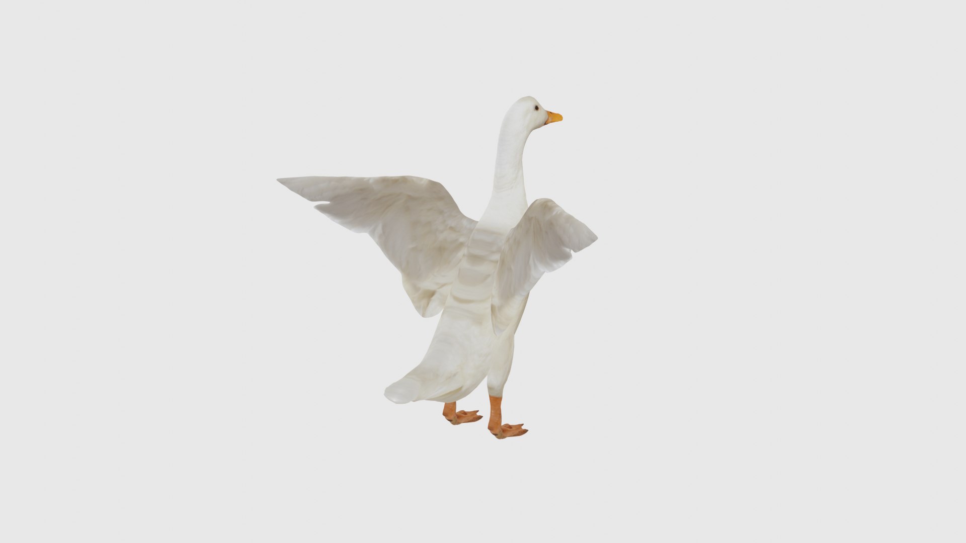 Low Poly Duck Rigged With Realistic Texture Model - TurboSquid 1875947