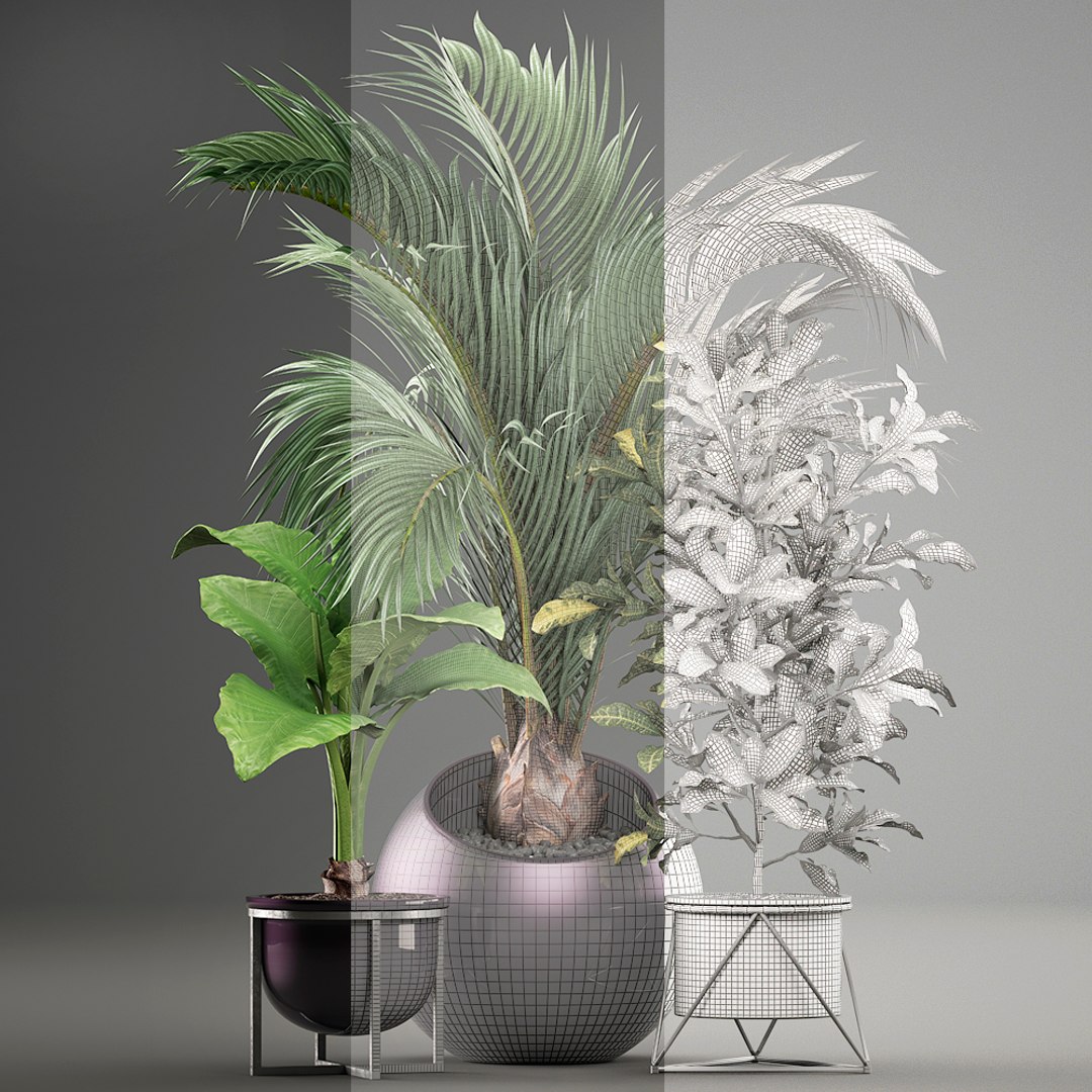 3D tropical plants model - TurboSquid 1532224