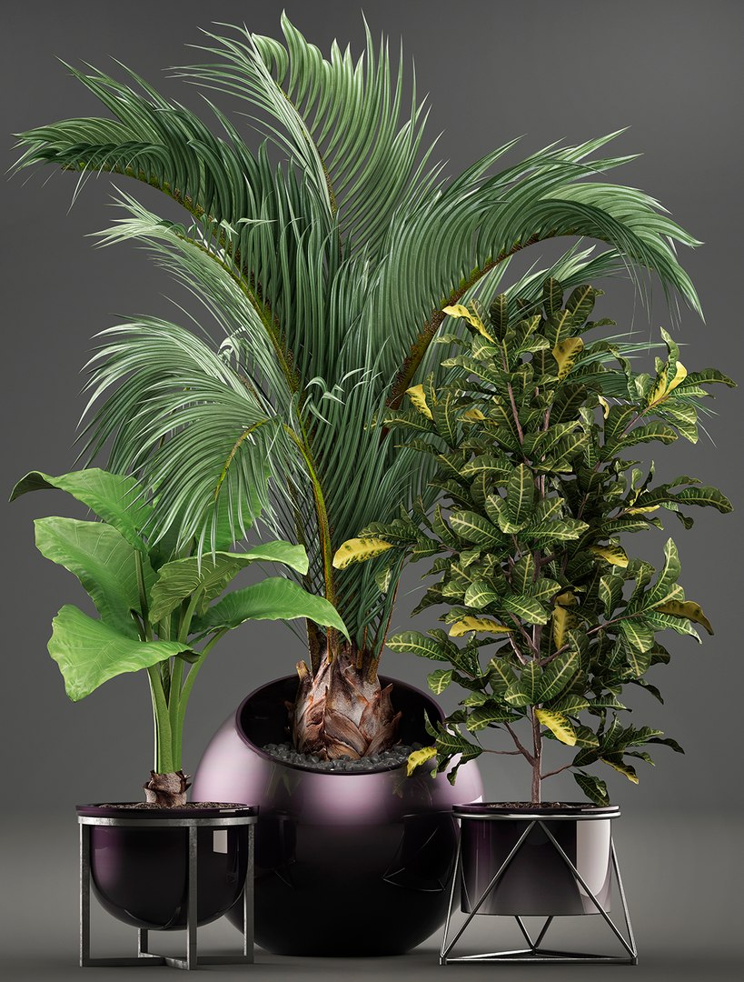 3D tropical plants model - TurboSquid 1532224