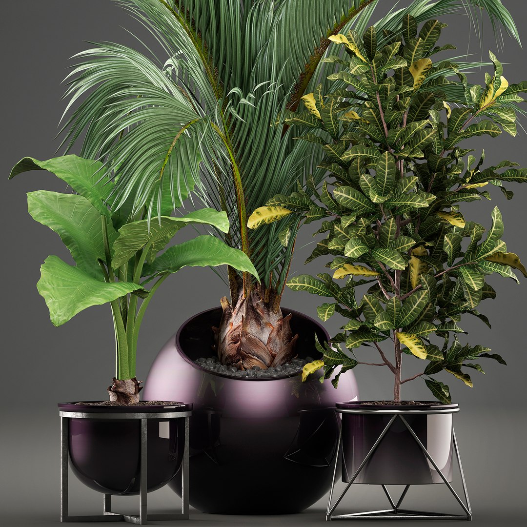 3D tropical plants model - TurboSquid 1532224