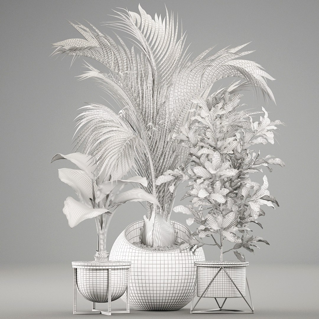 3D tropical plants model - TurboSquid 1532224