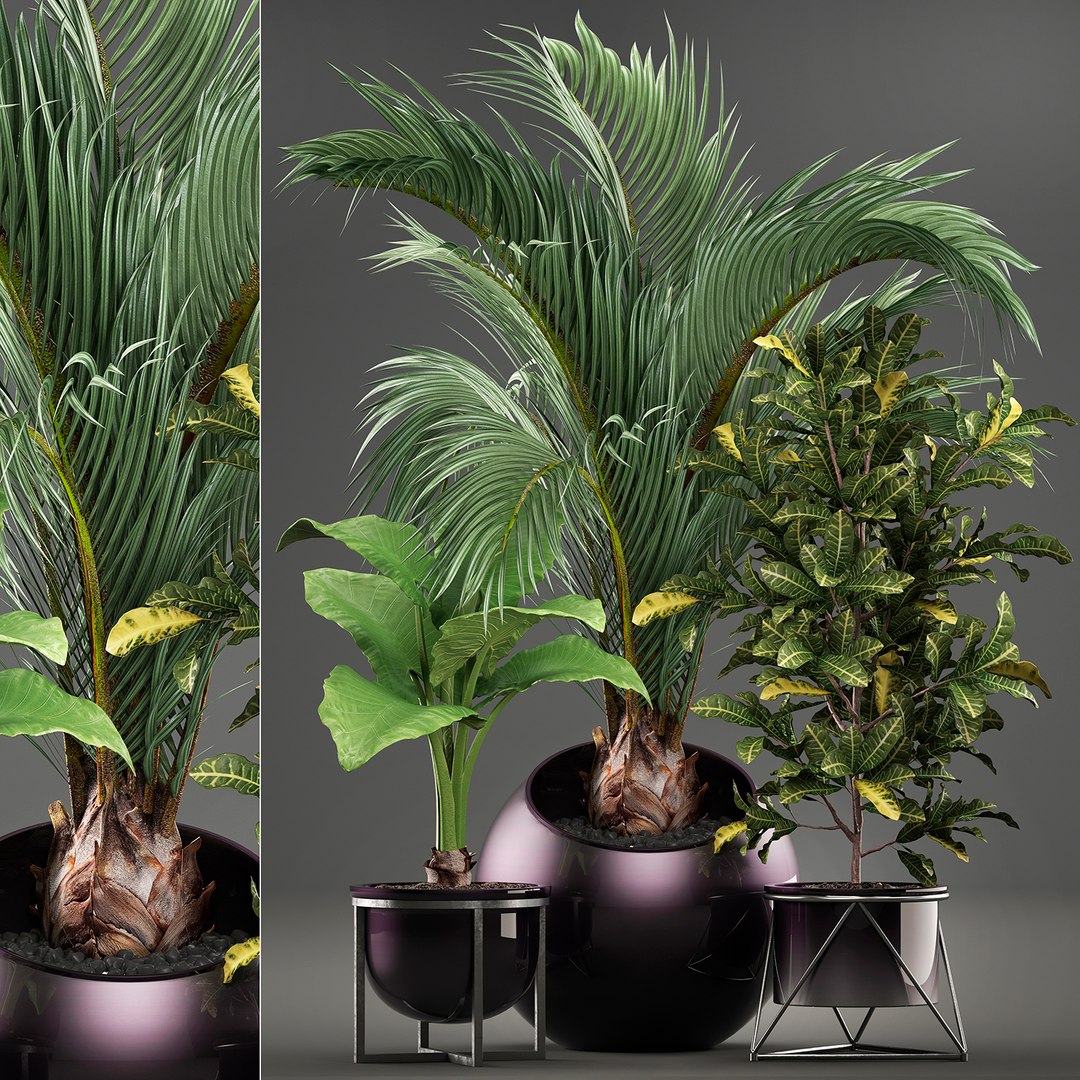 3D tropical plants model - TurboSquid 1532224