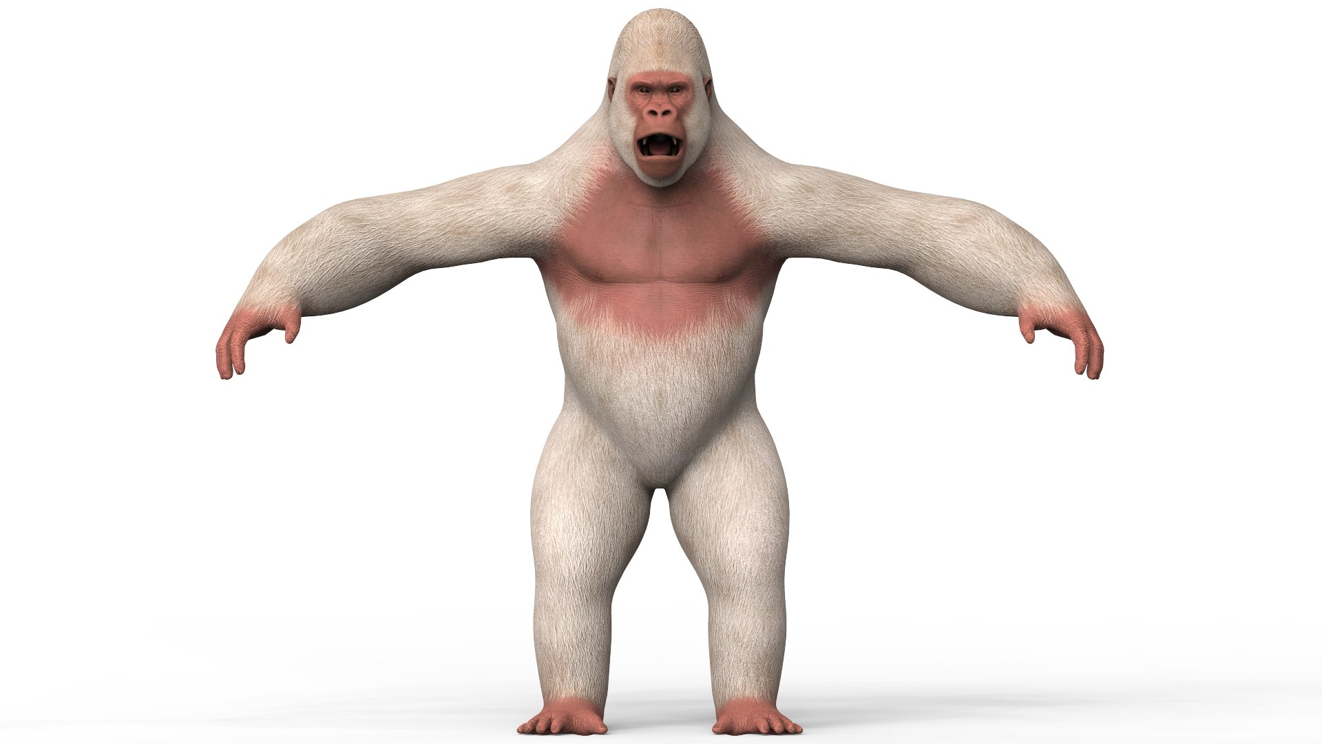3D Model White Gorilla With PBR Textures - TurboSquid 1848655