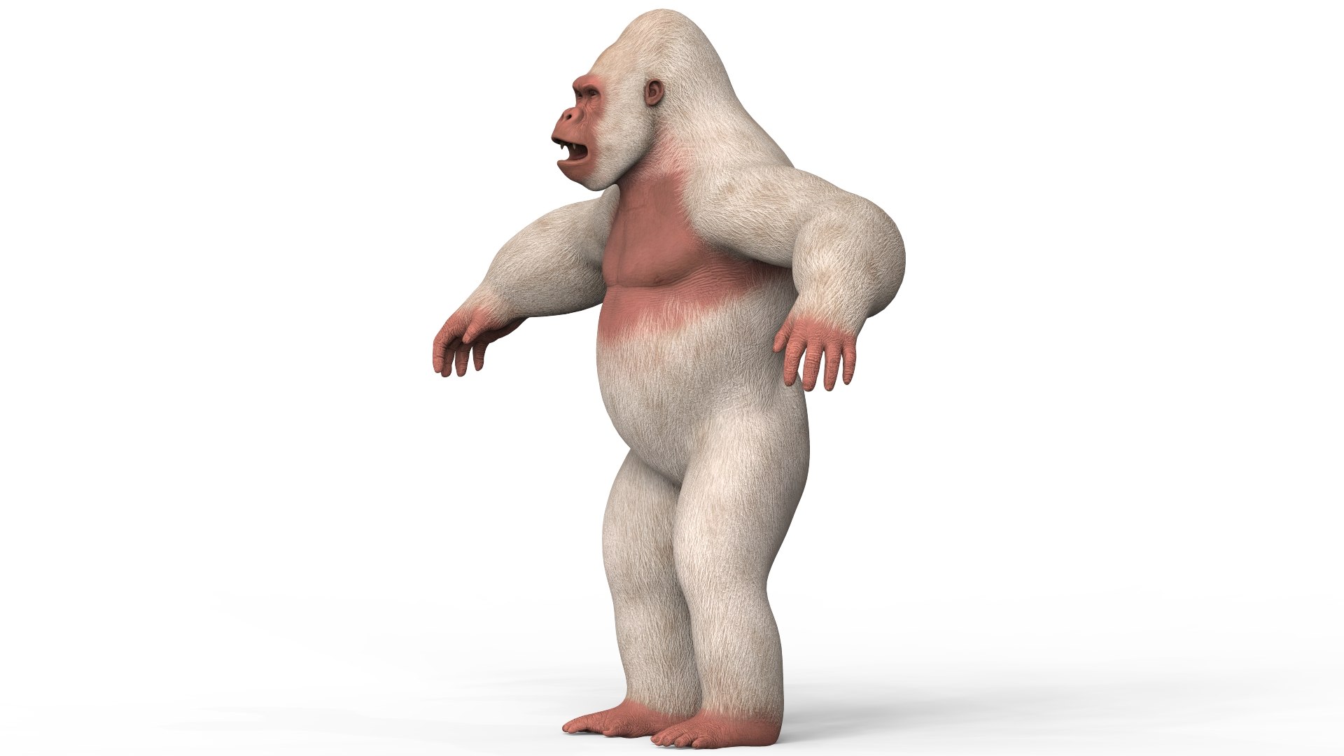 3D Model White Gorilla With PBR Textures - TurboSquid 1848655