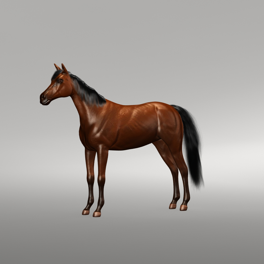 3d Model Horse Car Carriage