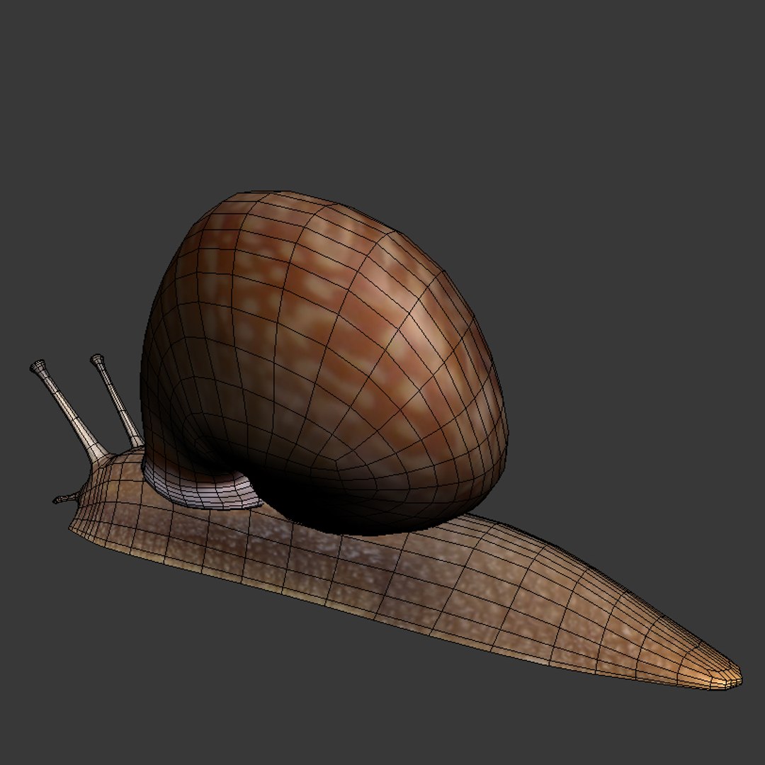 Snail 3ds