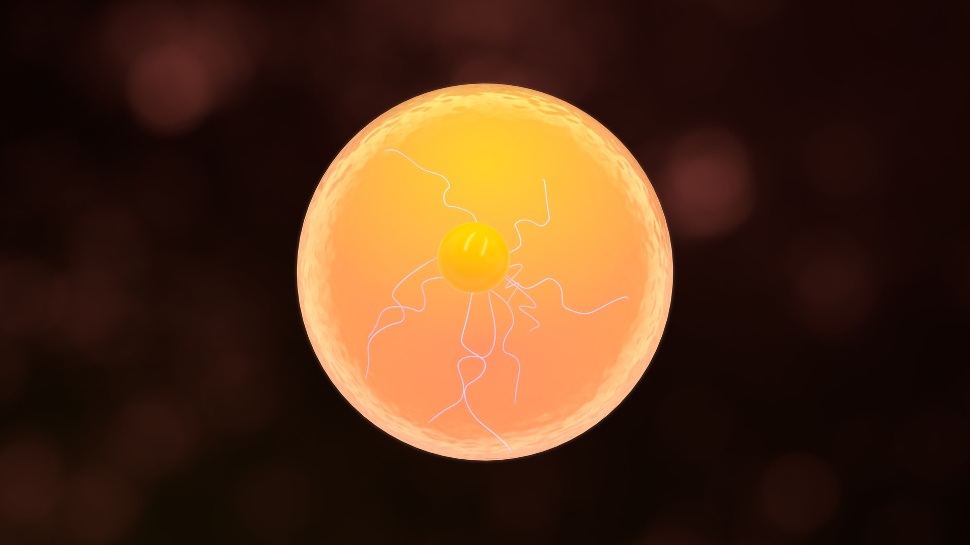 3D Microspore Mother Cell Diploid Stage Microsporocyte - TurboSquid 2186309