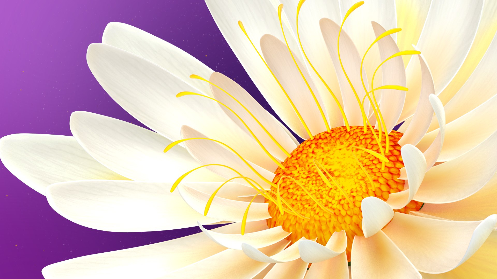 3D Beautiful Animated White Daisy Flower Model - TurboSquid 2041141