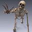 Realistic Human Skeleton Rigged 3d Lwo