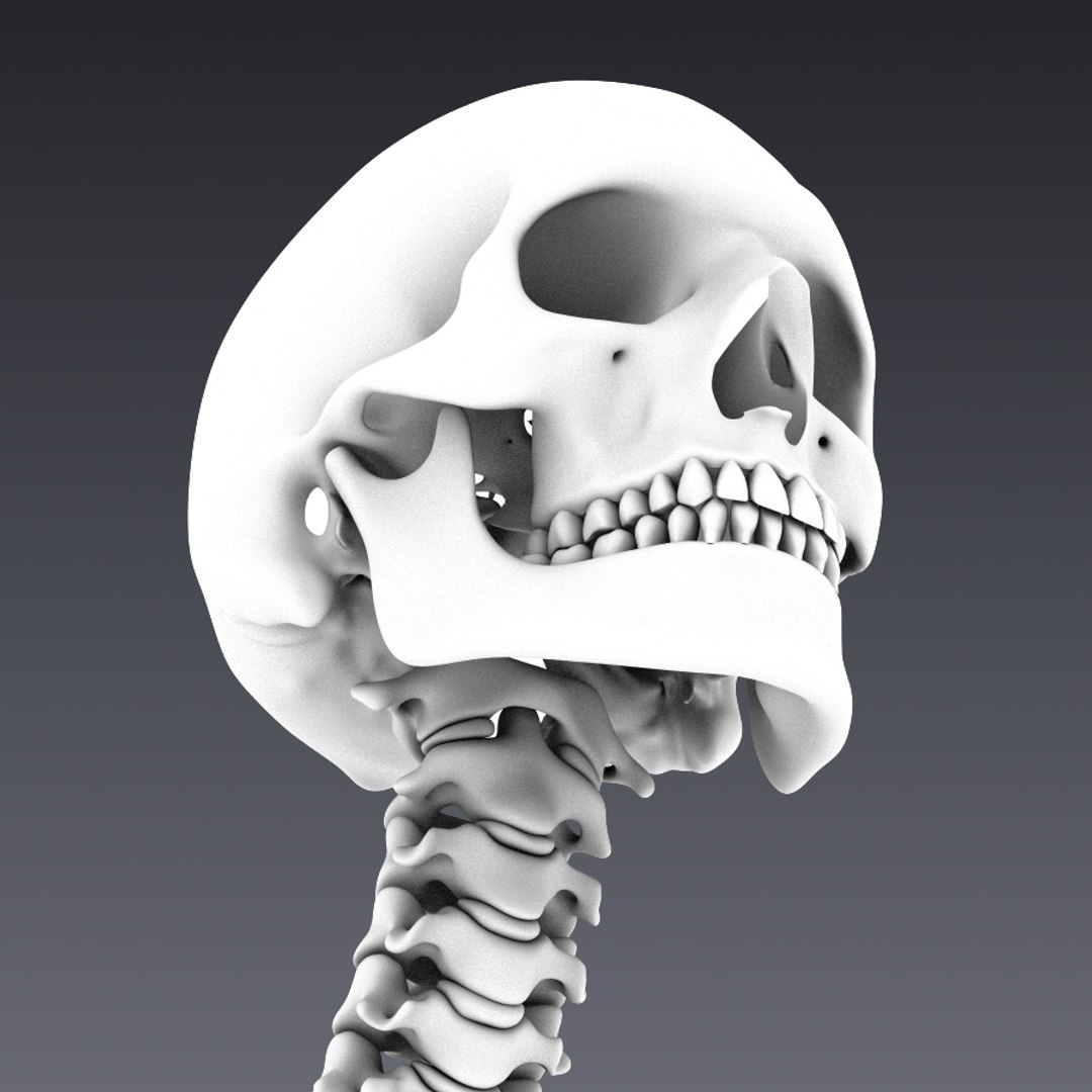 realistic human skeleton rigged 3d lwo