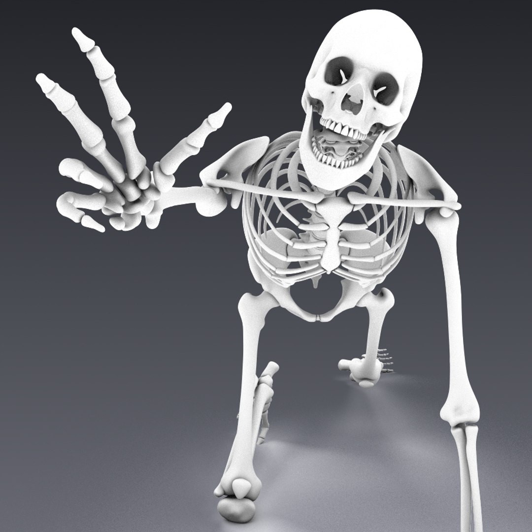 Realistic Human Skeleton Rigged 3d Lwo