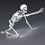 Realistic Human Skeleton Rigged 3d Lwo
