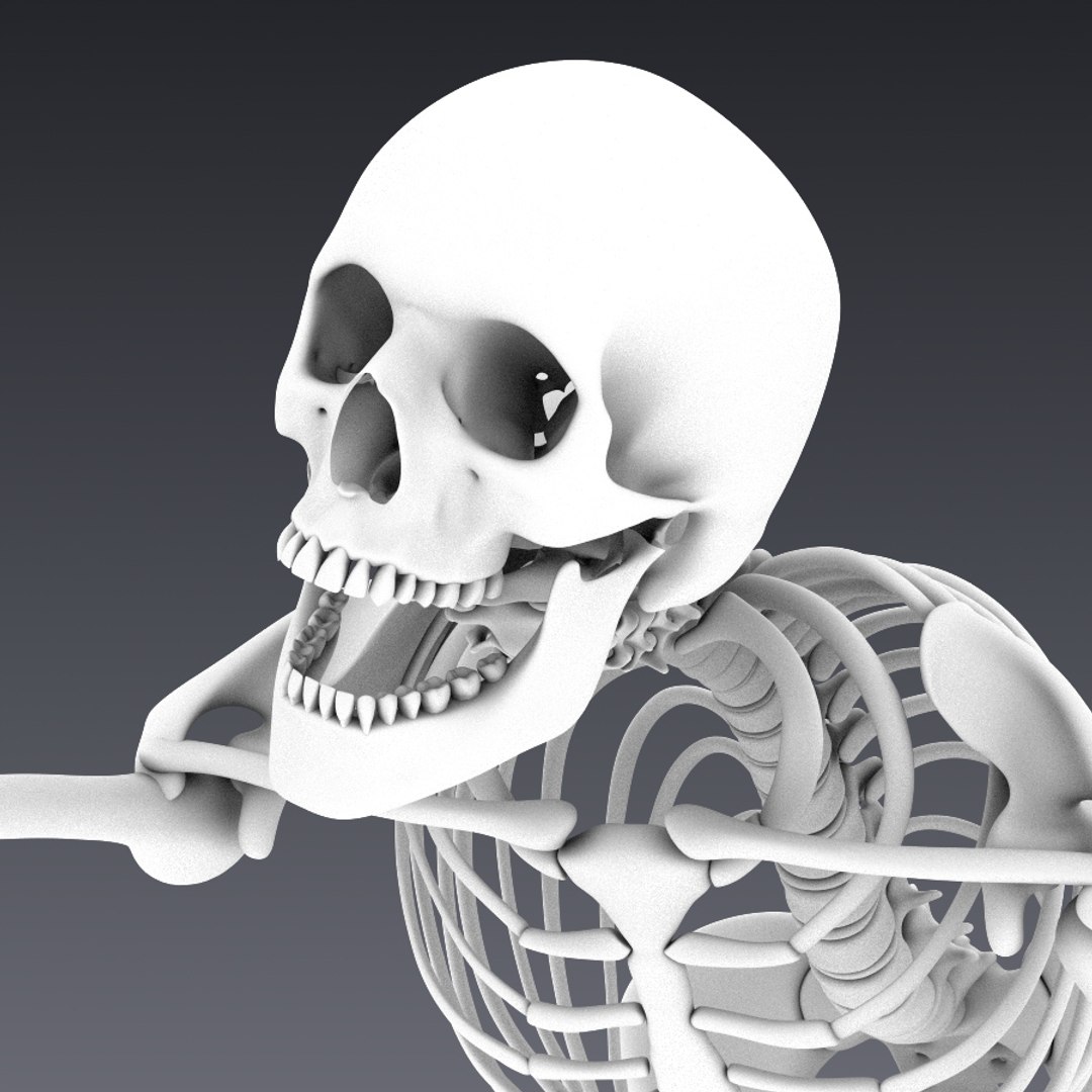 Realistic Human Skeleton Rigged 3d Lwo