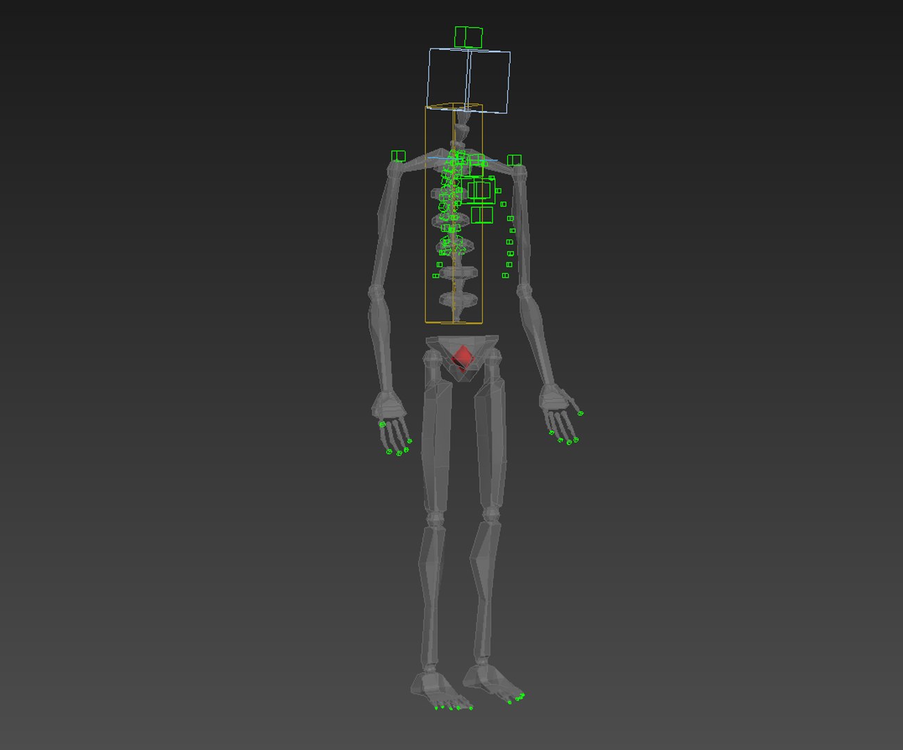realistic human skeleton rigged 3d lwo