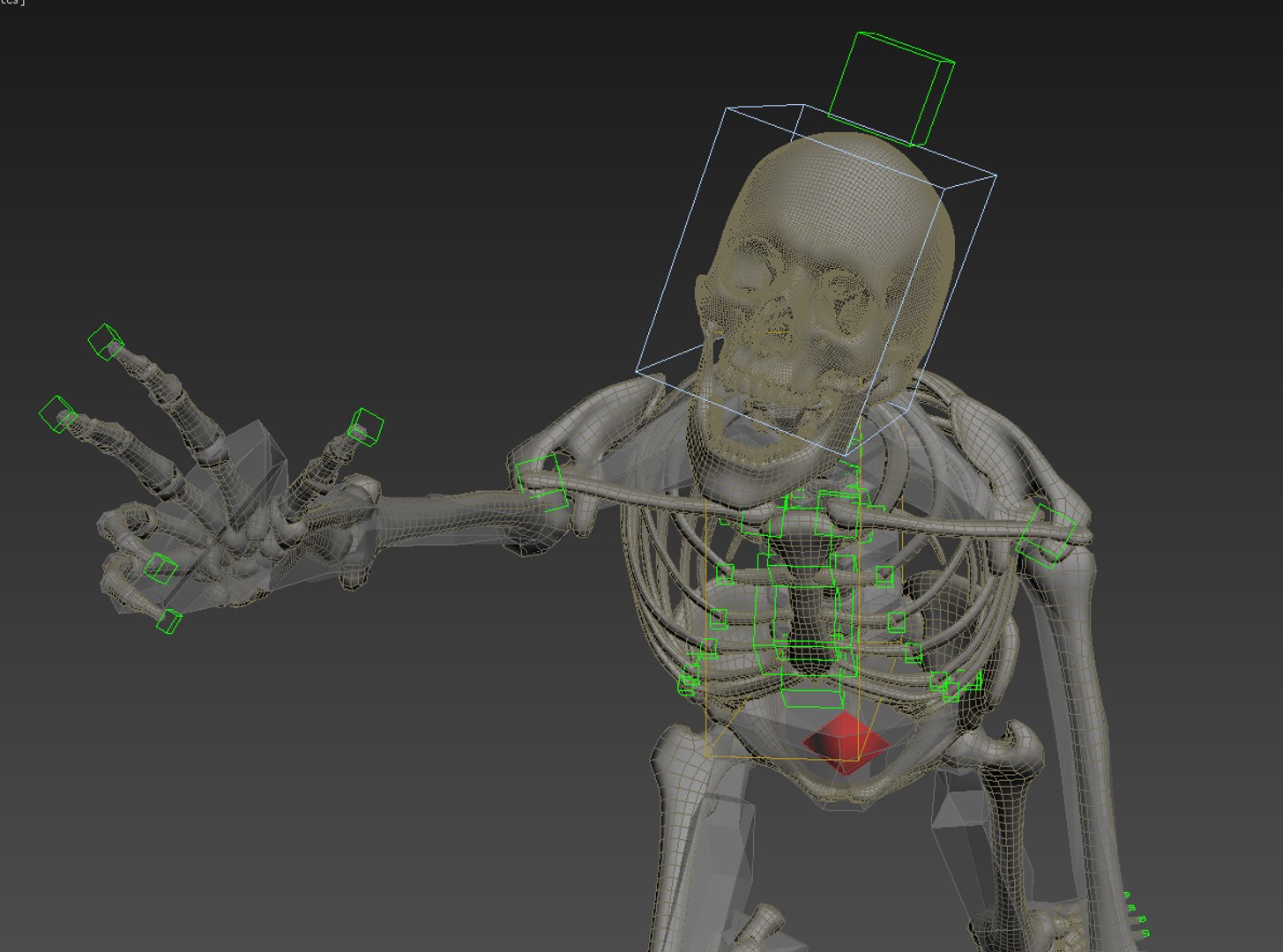 realistic human skeleton rigged 3d lwo