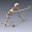 Realistic Human Skeleton Rigged 3d Lwo