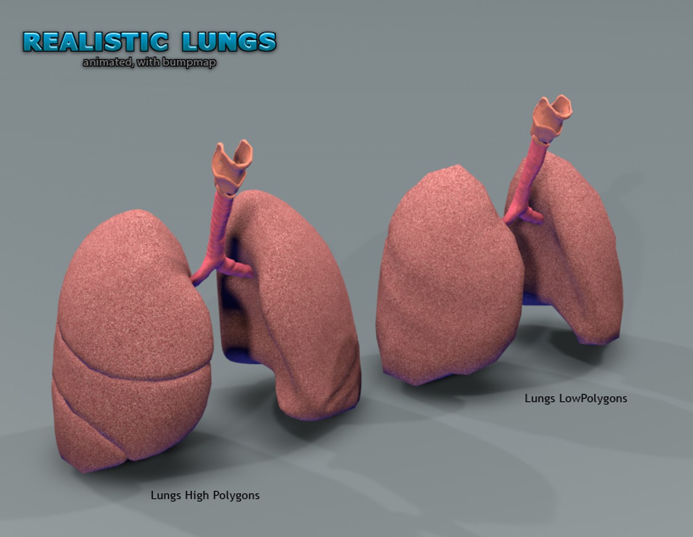 3ds lungs cycle