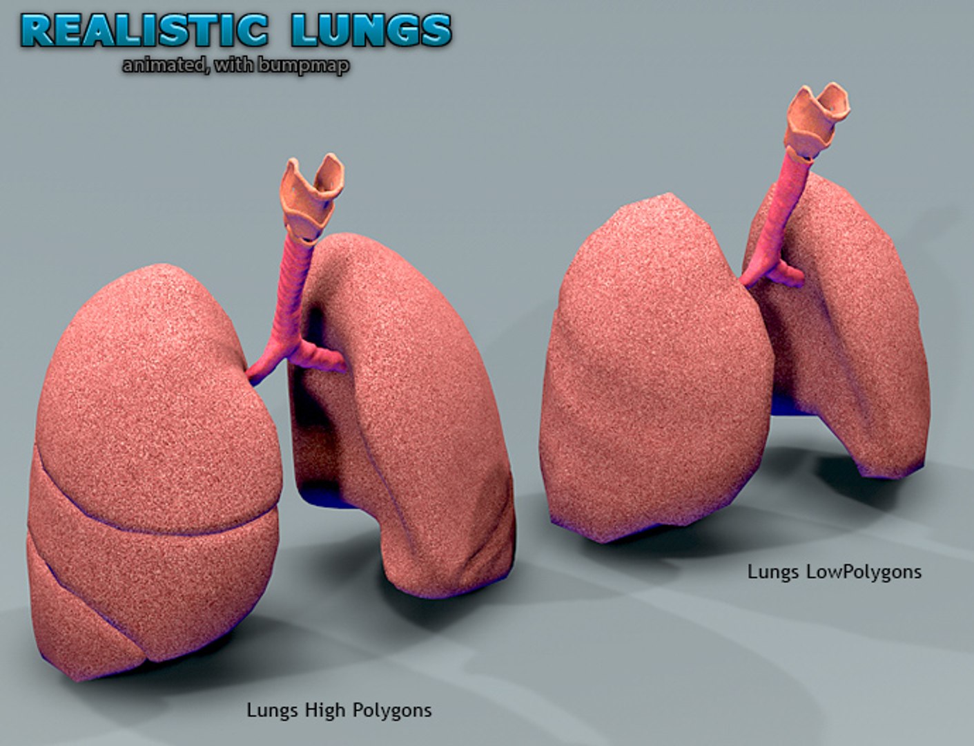 3ds lungs cycle