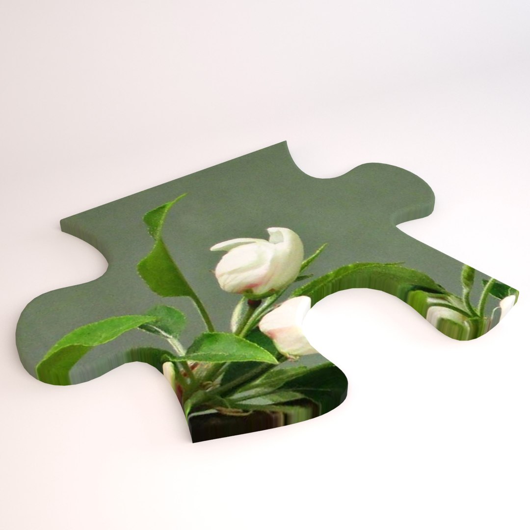 3d Model Jigsaw Puzzle