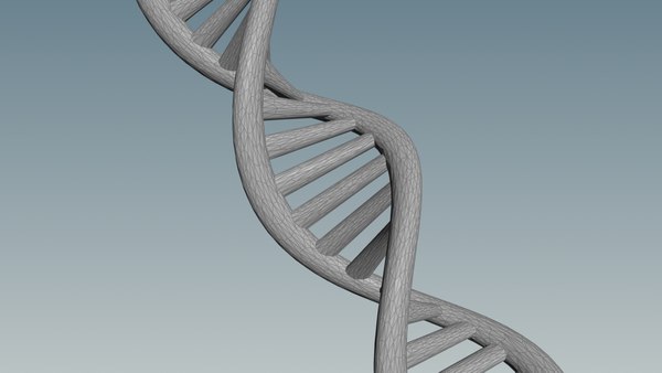 3D model dna strand - TurboSquid 1367317