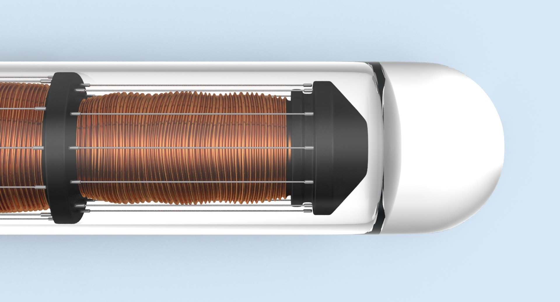 max microchip implant