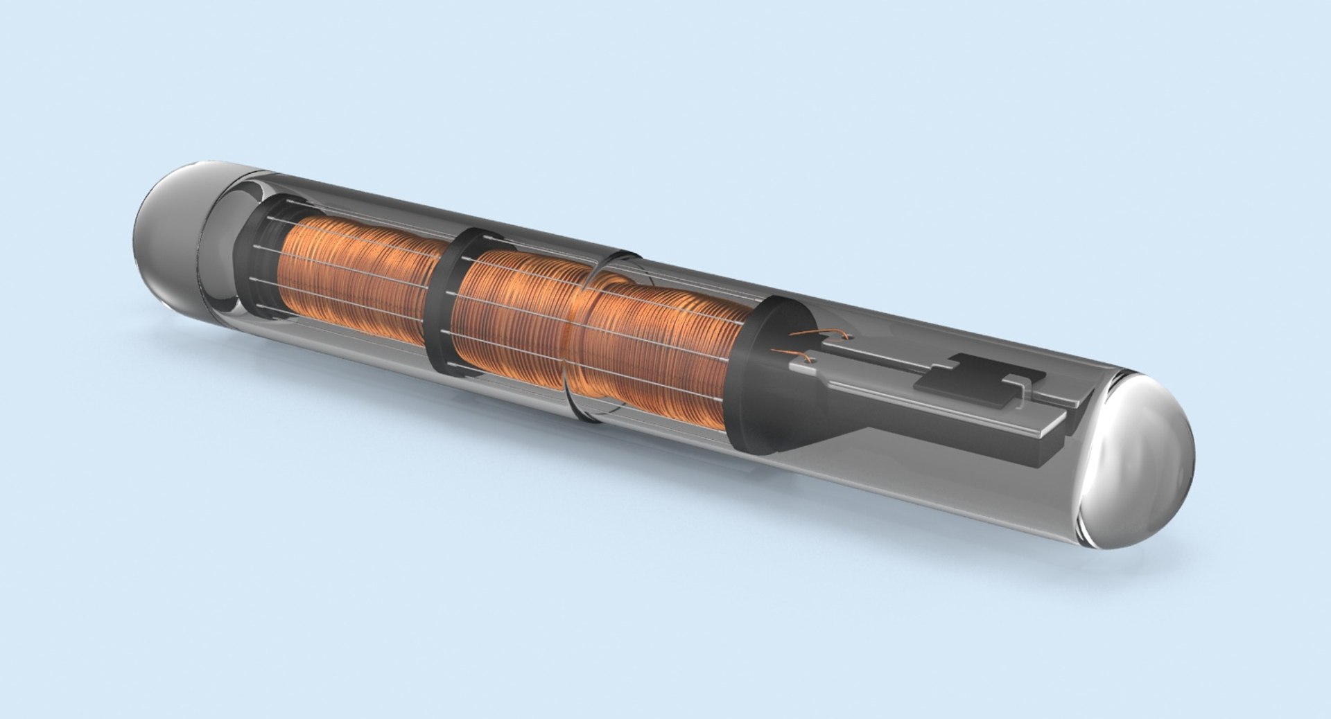 max microchip implant