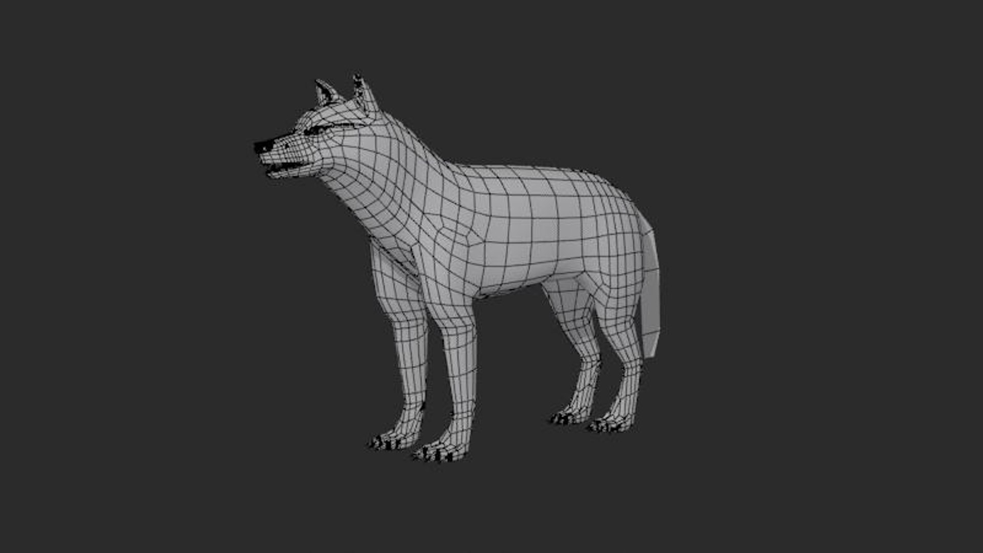 Gray Wolf Animation 3D - TurboSquid 1463453