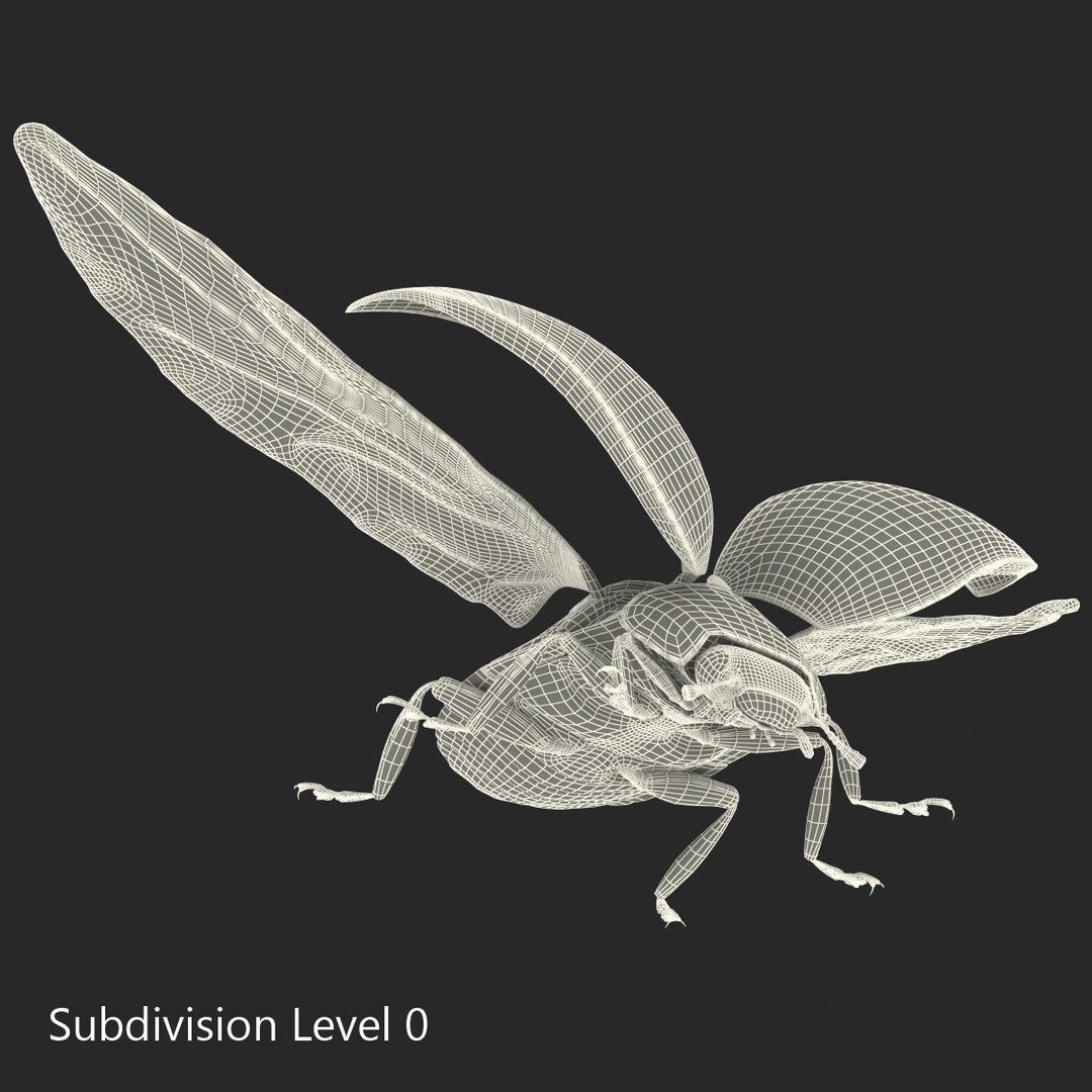 3d Model Flying Ladybug Fur