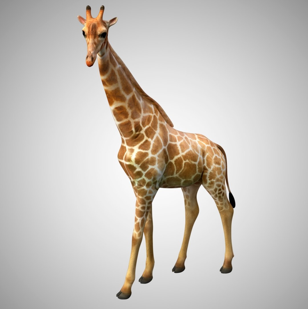 3D Realistic 3D Deer Model High Detail PBR Textures Game Animation Ready Model - TurboSquid 2456786