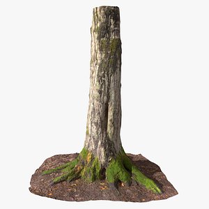 Free 3D Tree Trunk Models - Available For Download On TurboSquid