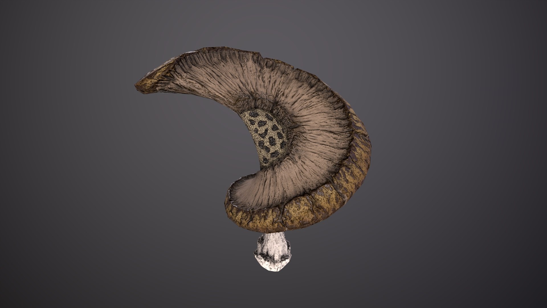 Fantasy Mushroom PBR Game-ready M-sized Low-poly 3D model - TurboSquid ...